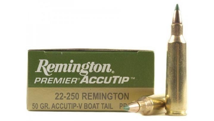 22-250 Remington: con la mira puesta en zorros, corzos y más - Caza