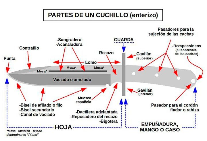 Anatomía del cuchillo: un universo de formas, utilidades y modas ...