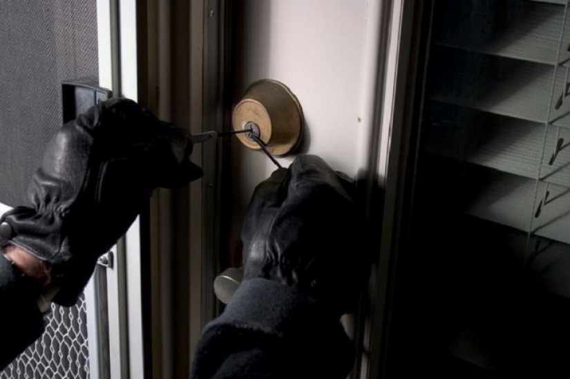 Intrusos en casa: ¿Qué puedo hacer? Guía de supervivencia - Actualidad